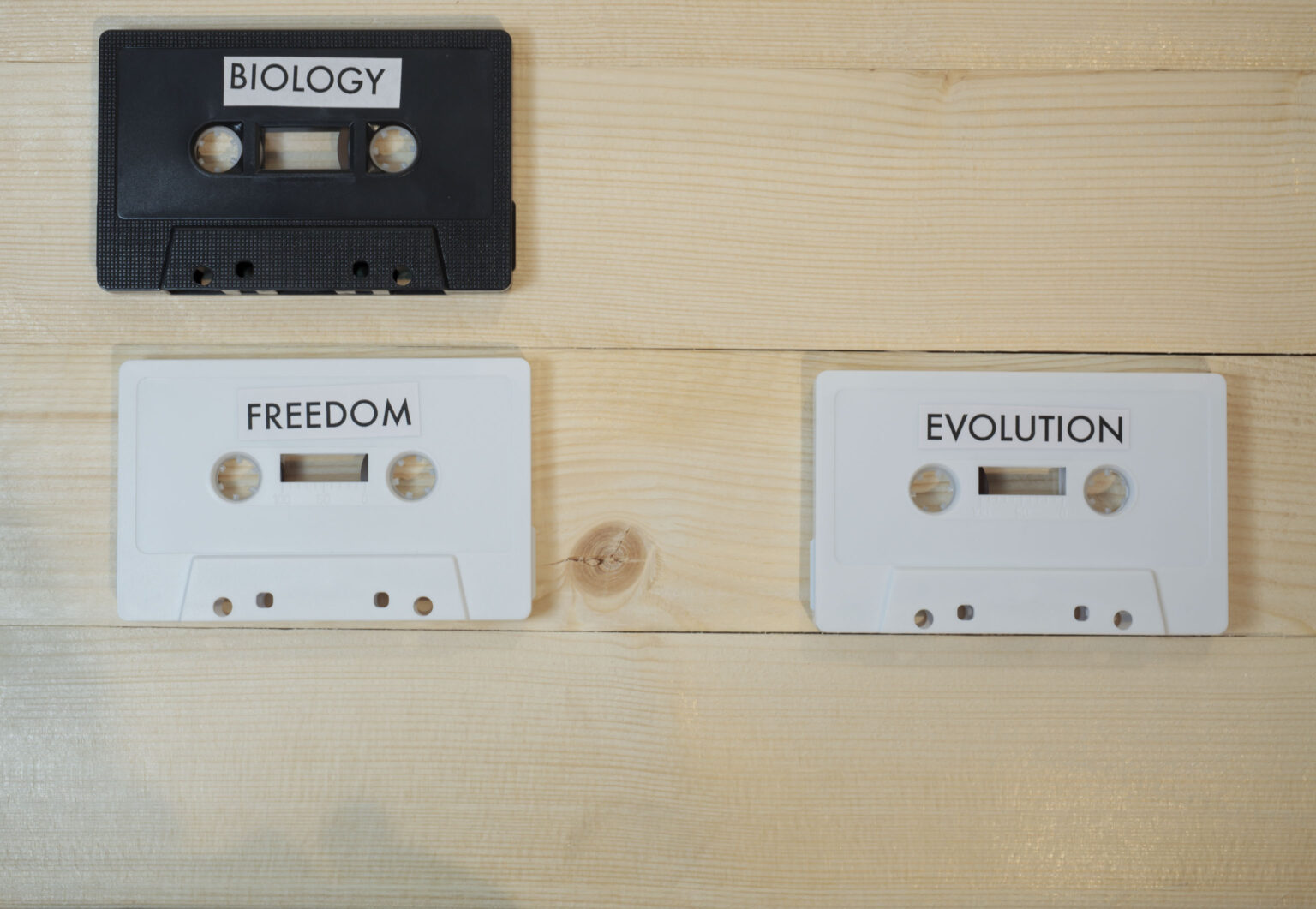 Sisters of Jam – Kate Millett Farm – Marabouparken konsthall